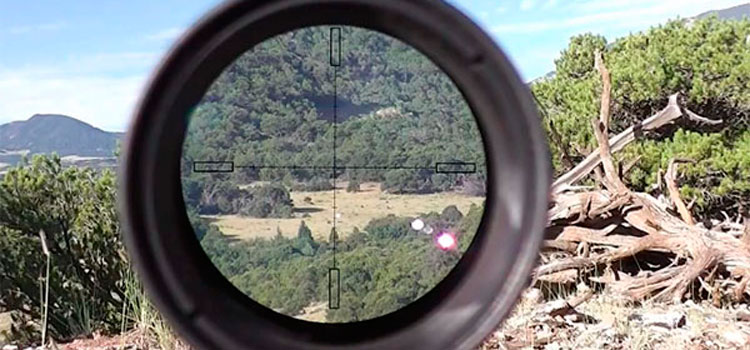 Tiro de alta precisión a muy larga distancia: Disparando con un .338 LM ...